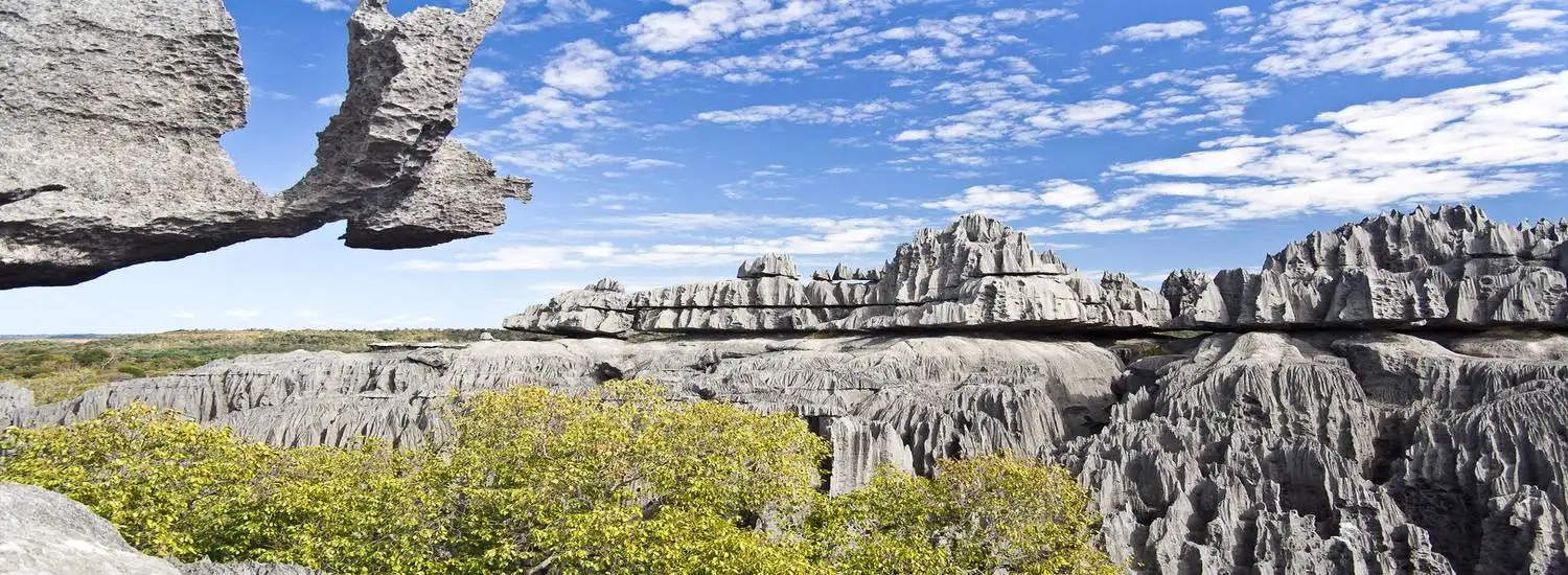 Grand tsingy de bemaraha and baobab avenue from morondava 3 day tour